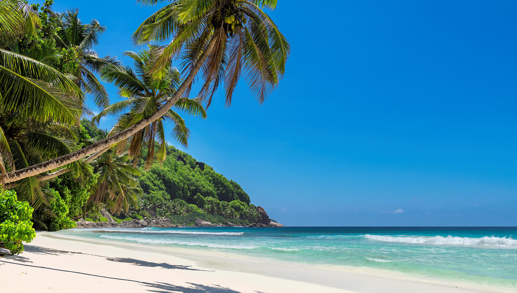 Ceylon Trailblazer – Travel & Tour Agency